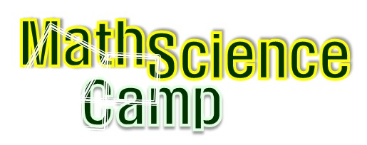 Logo Sample | Math Science Camp